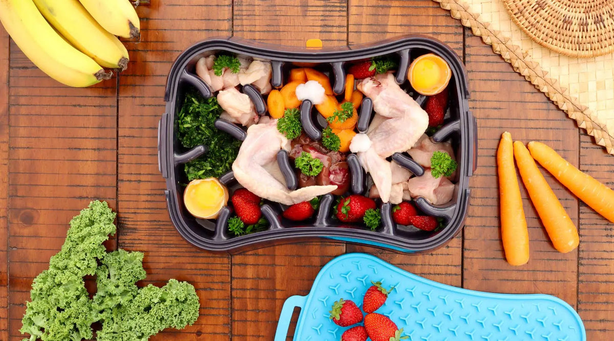 BARF Diet for Dogs: A Complete Guide - Super Feedy